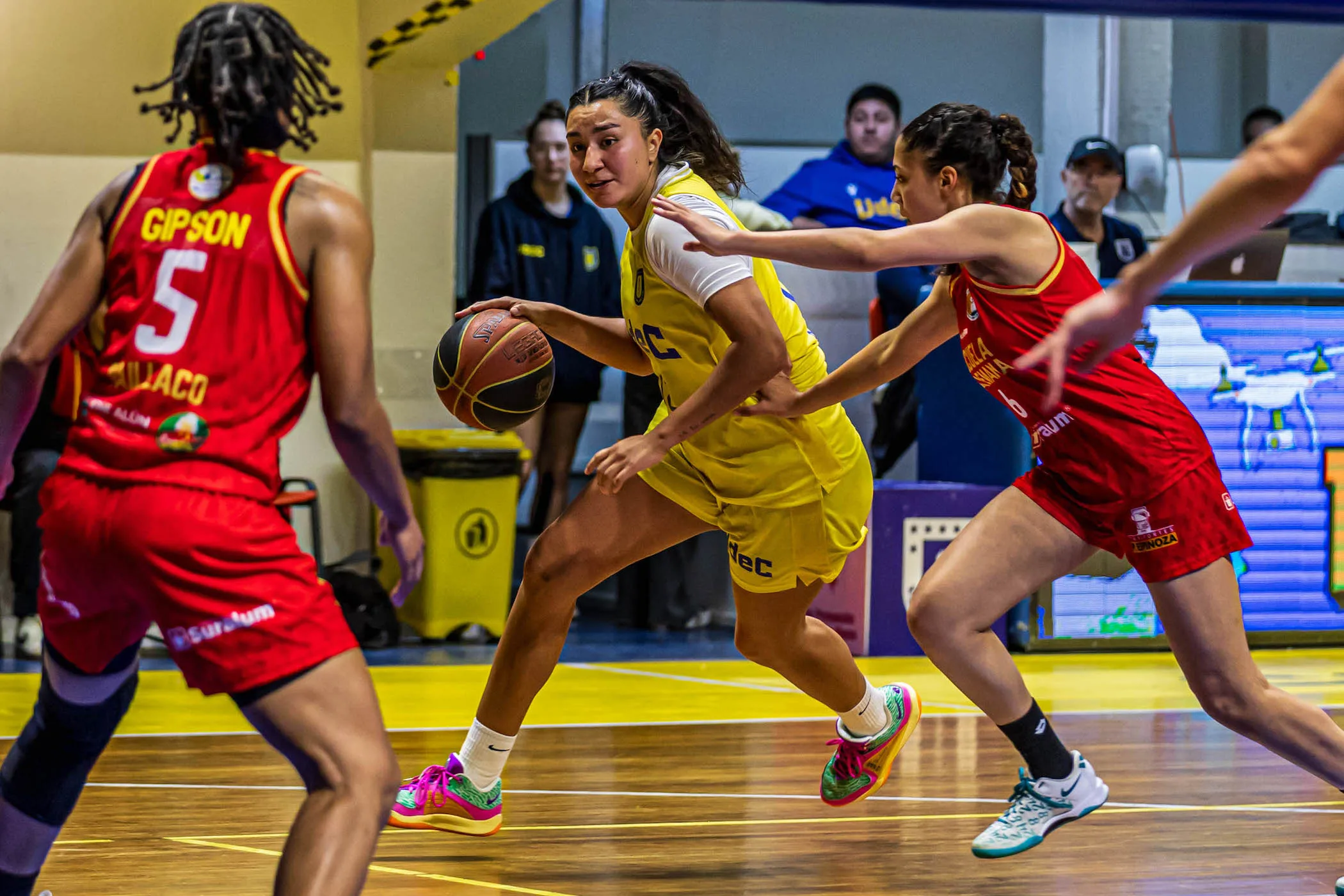 Básquetbol femenino UdeC estuvo a punto de lograr la hazaña en Paillaco ...