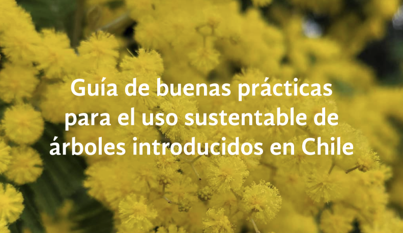 Lanzan guía para el uso sustentable de árboles introducidos en Chile ...