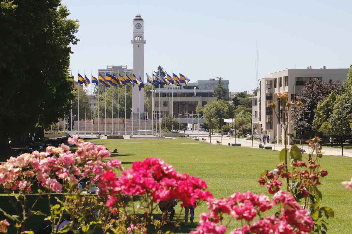 Oficina de Transferencia y Licenciamiento se adjudicó nuevo ...