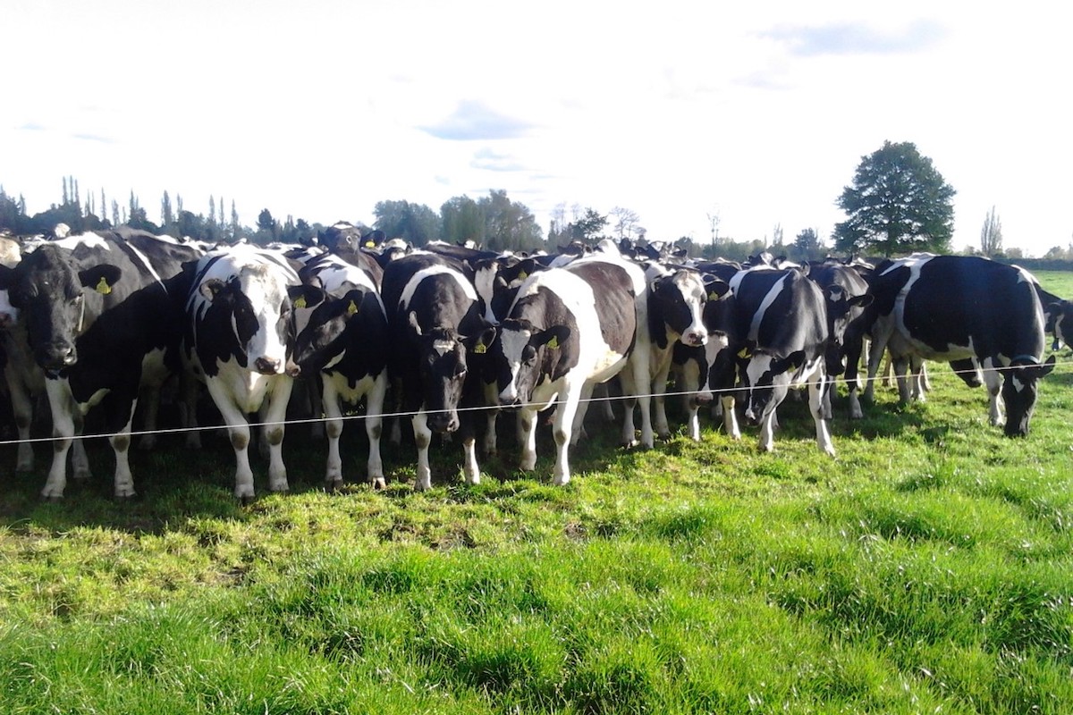 Agronomía UdeC realizará charla sobre tecnología para manejo de ...