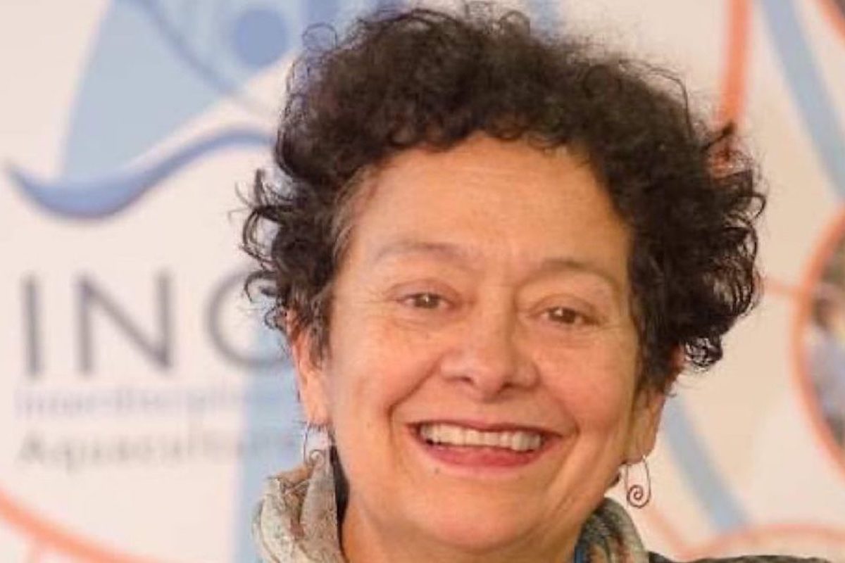 Investigadora Incar encabezó taller sobre ARClim a trabajadores ...