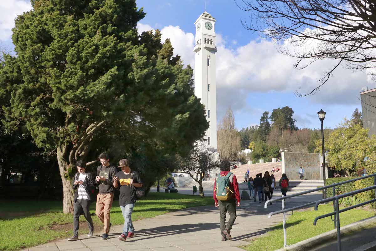 Dirección de Postgrado UdeC lanza su nuevo sitio web - Noticias UdeC