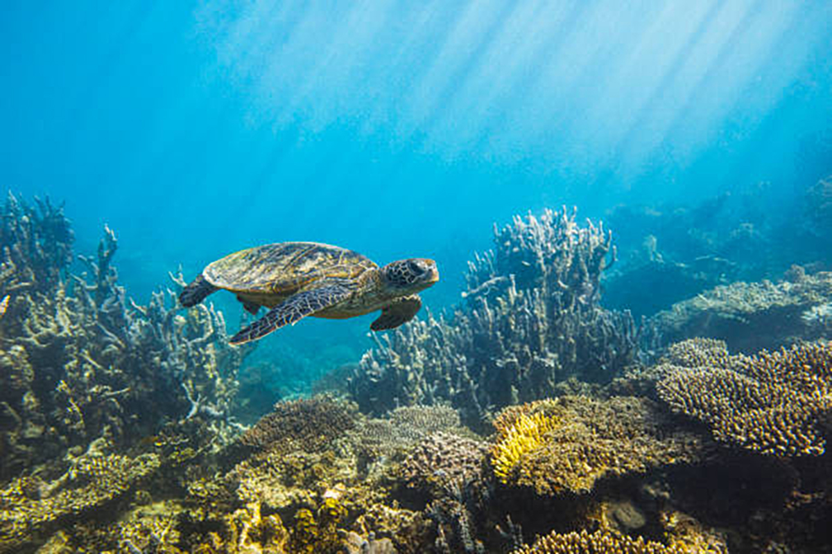 Centro COPAS invita a la primera versión del Taller de Oceanografía ...