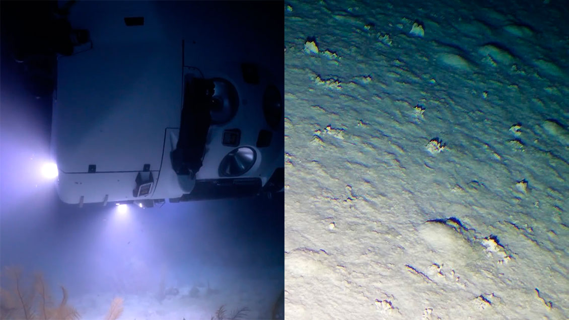 Llega al cine el documental que se adentró en la Fosa de Atacama ...