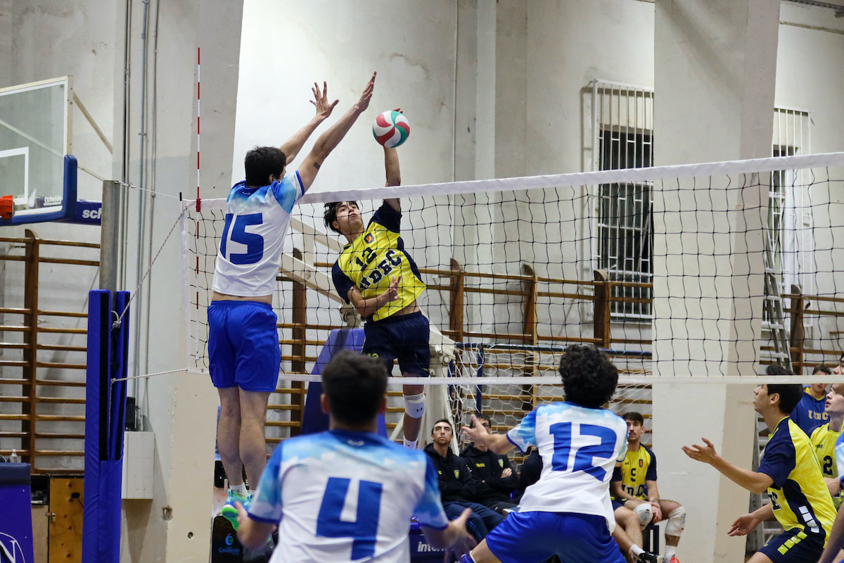 Vóleibol masculino: UdeC superó a la UDD y sigue invicto en el torneo organizado por Adesup ...
