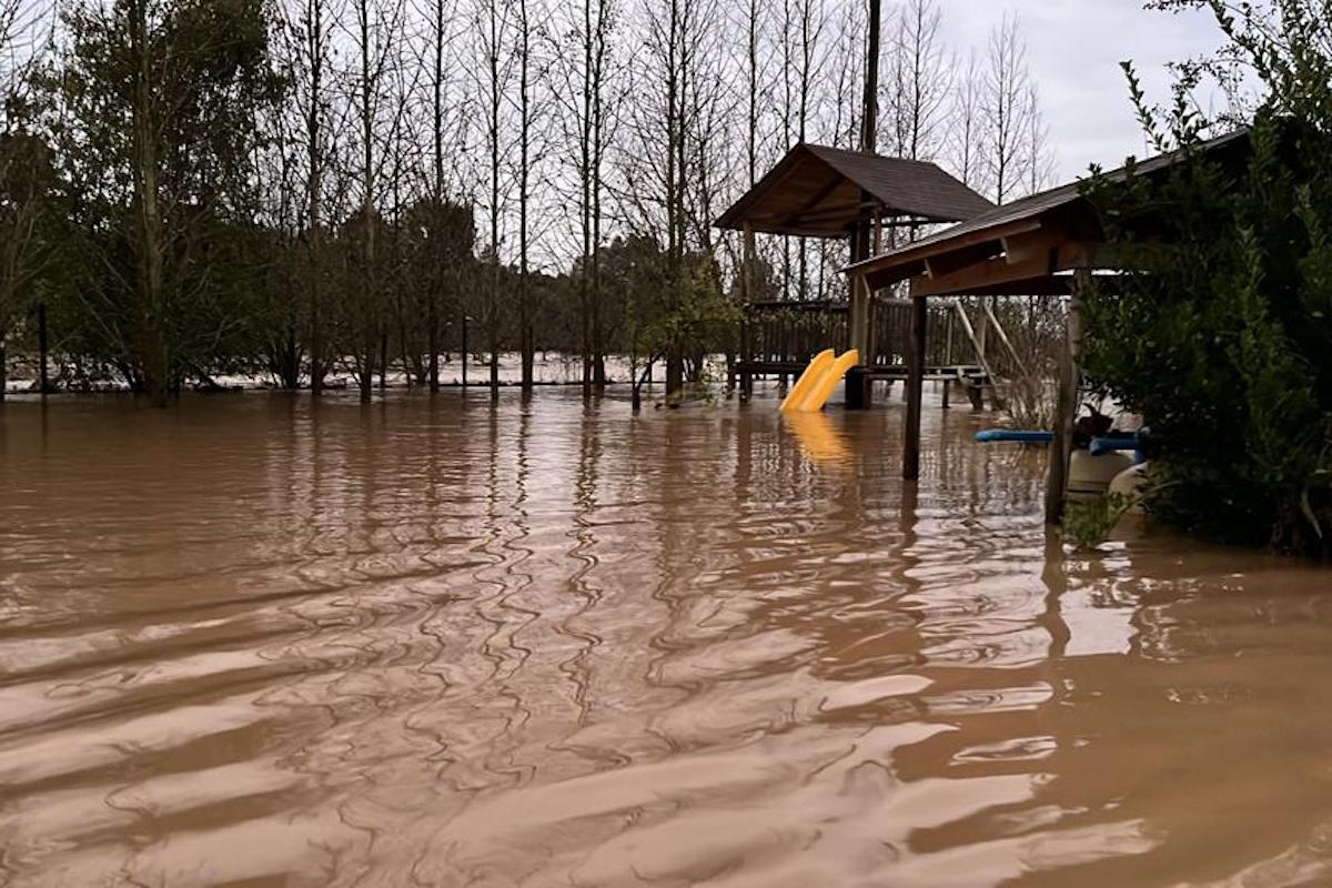 Estudiantes de postgrado UdeC contarán con asignatura ...