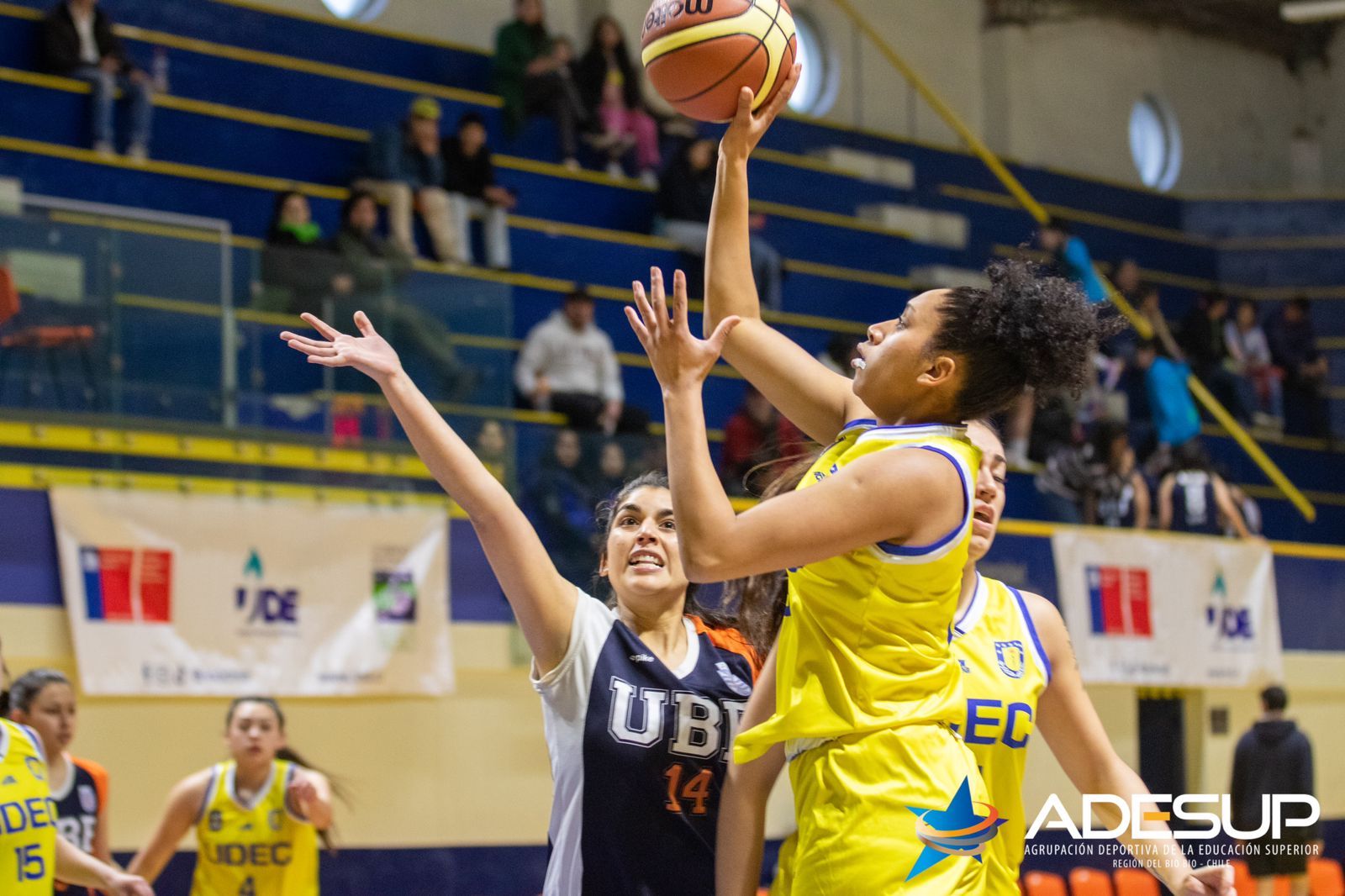 Último apronte para el Campeonato Nacional Universitario sorteado con éxito: UdeC venció a la ...