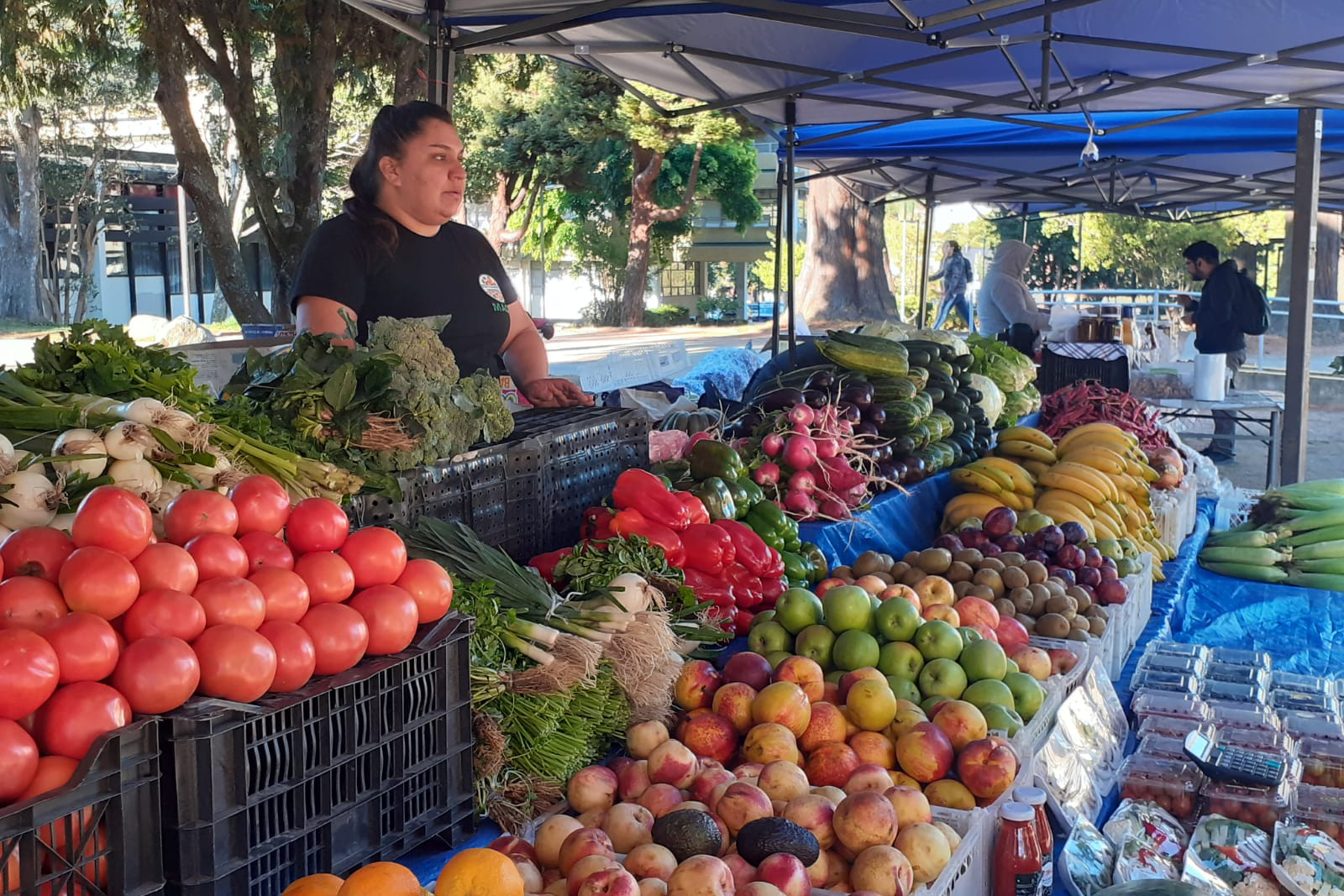 Mercadito UdeC renueva su compromiso con los hábitos de alimentación ...