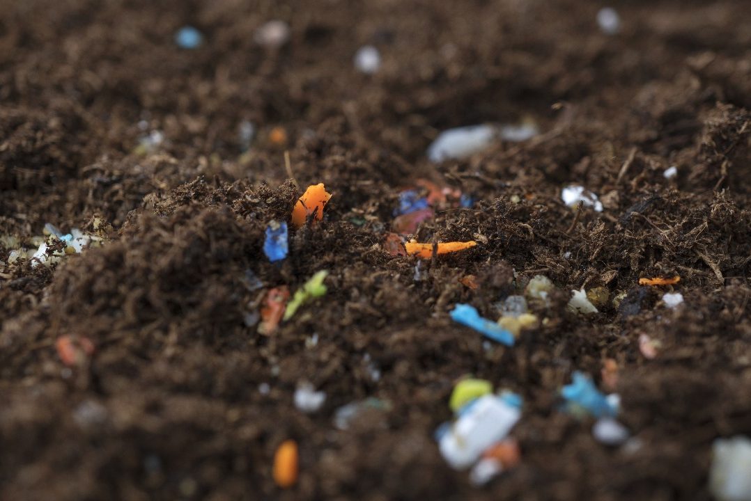 Nuevo estudio de investigadores UdeC detecta la presencia de microplásticos en suelos urbanos de ...