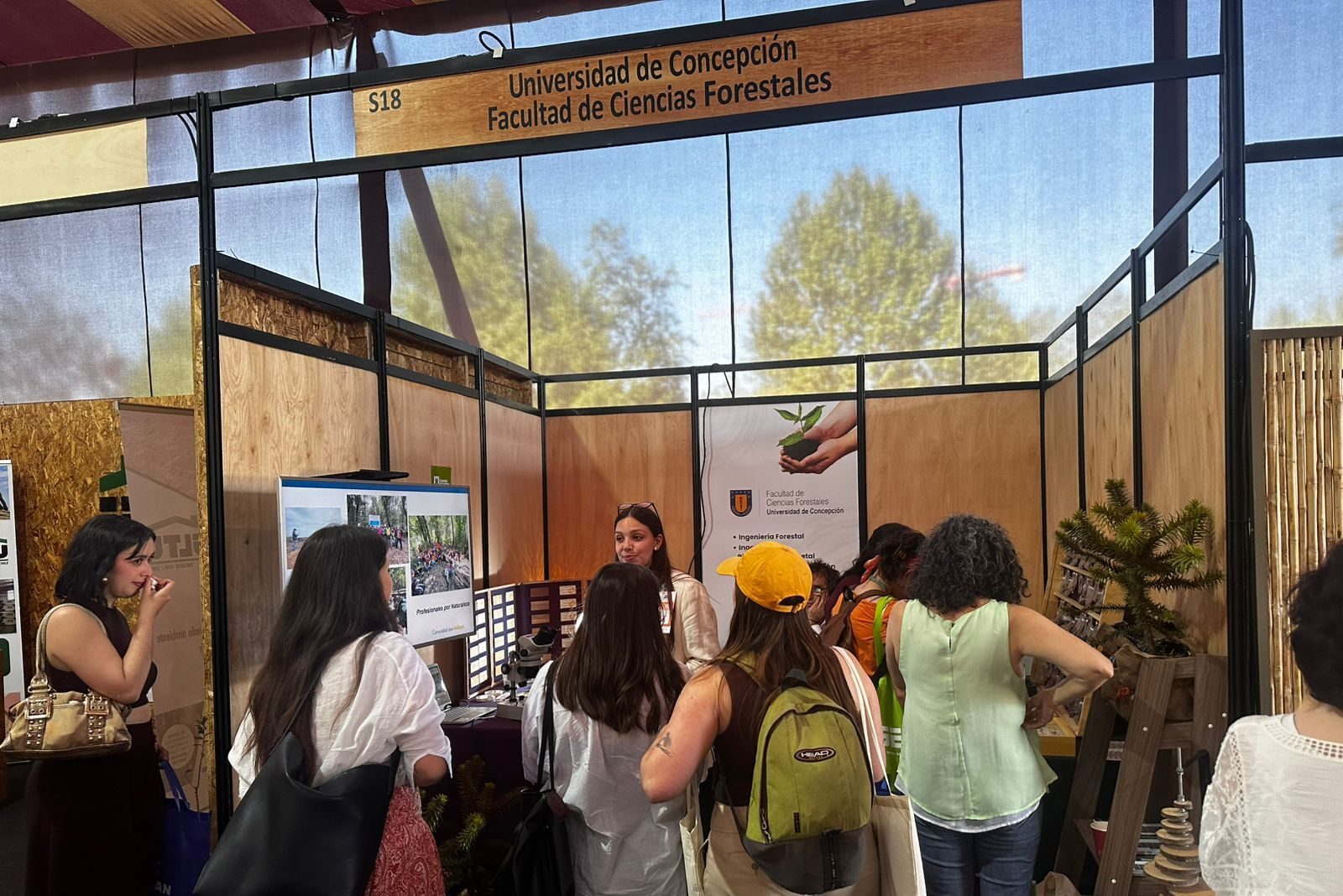 Cs. Forestales UdeC destaca con muestra de árboles nativos en la Semana de la Madera 2024 ...