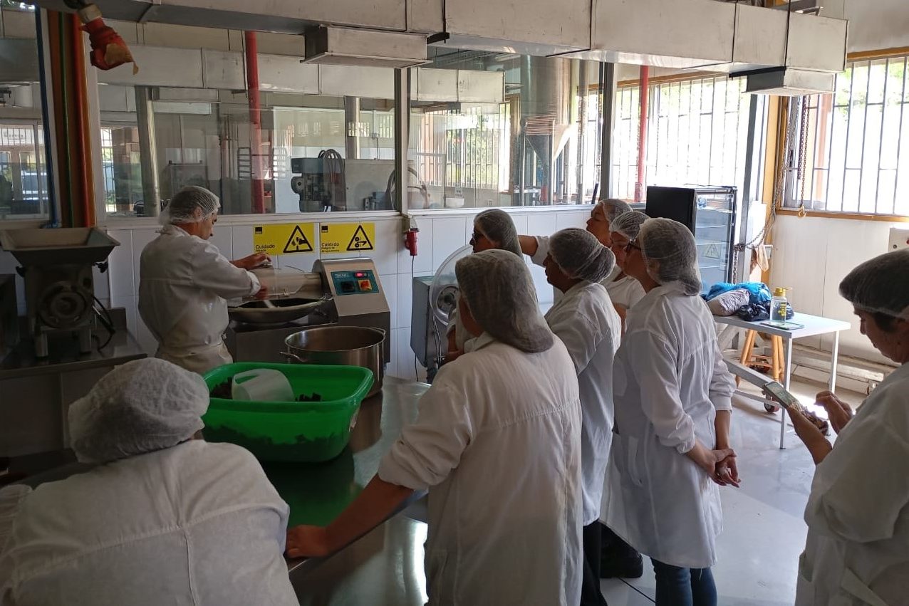 Capacitación del CDTA UdeC potencia a mujeres recolectoras de Tomé en ...