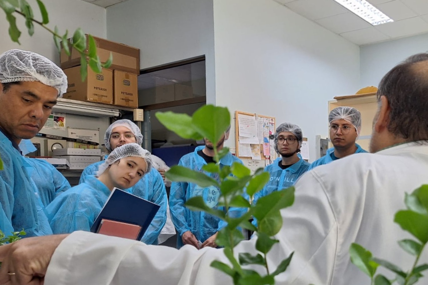 Centro de Biotecnología y OTEC UdeC impulsan capacitación en técnicas de propagación vegetal ...